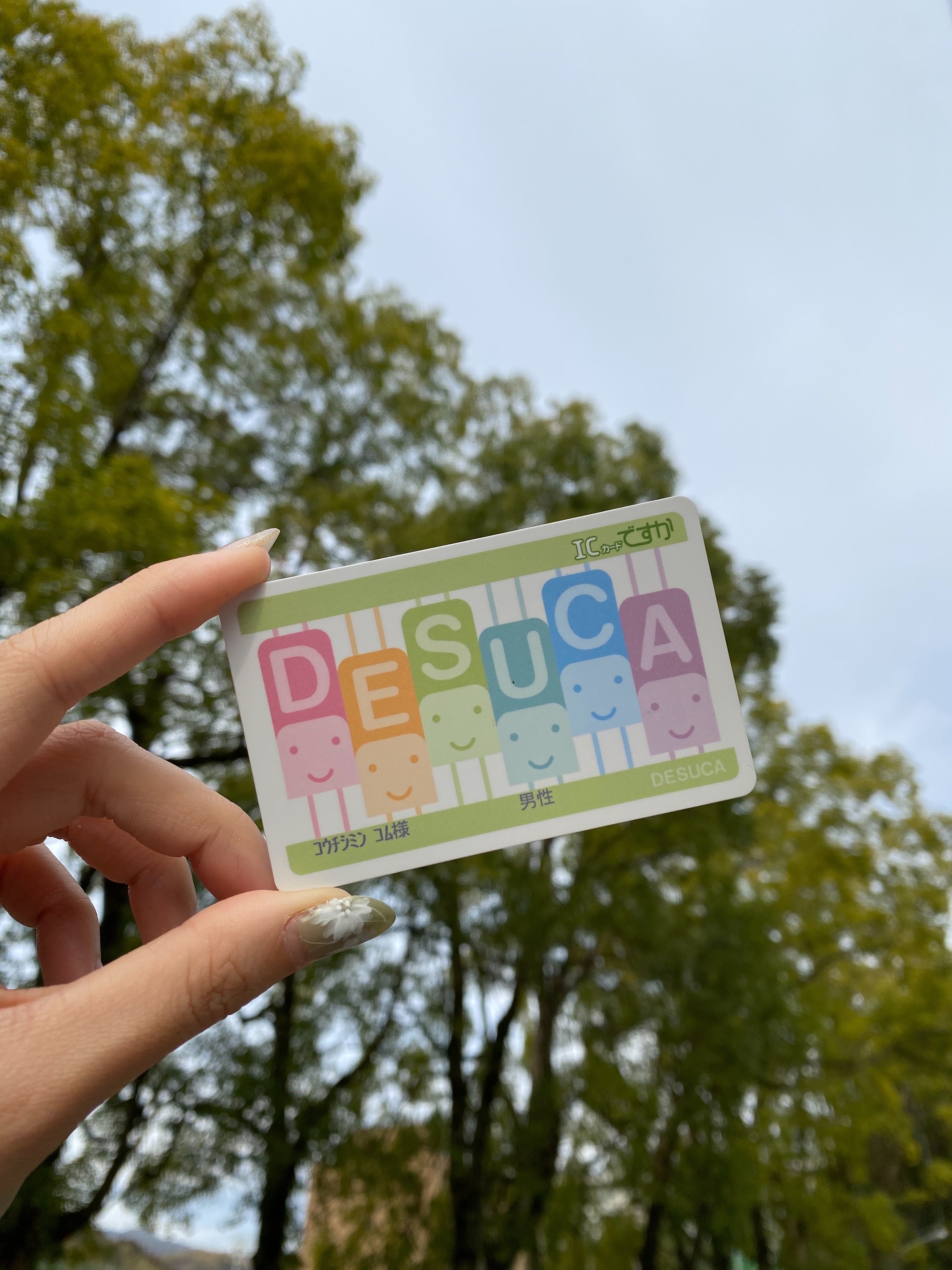 One-Coin Trolley Ride: Kochi’s Shortcut to Downtown – Life in Kochi